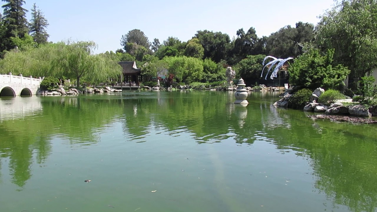 Pasadena Arboretum Garden