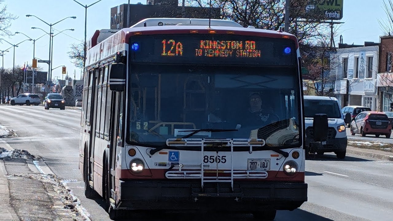 TTC Bus 8565 On Route 12A Kingston Rd To Kennedy Station Via Variety ...