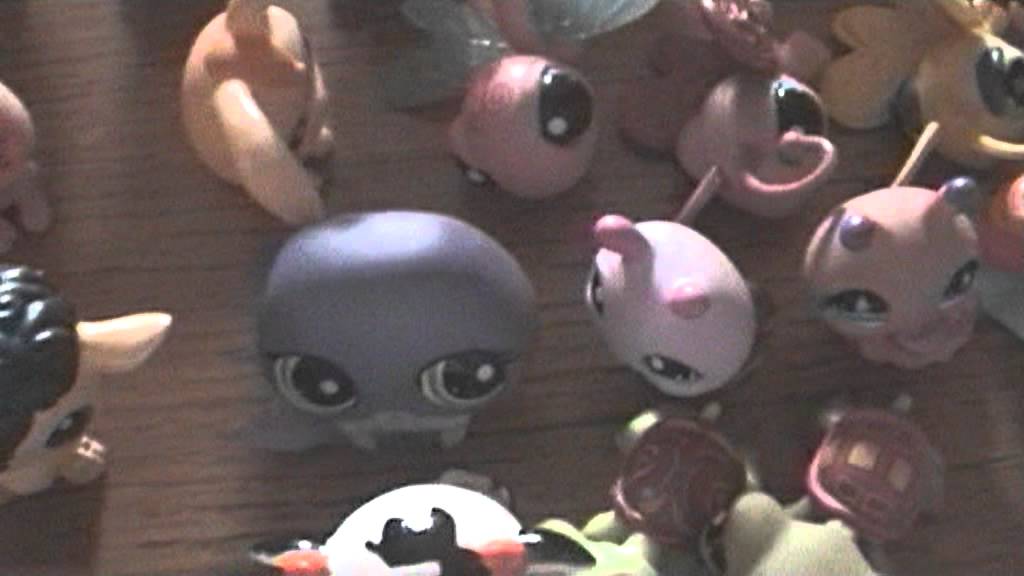 Littlest Pet Shop Kolekcja 1 - YouTube