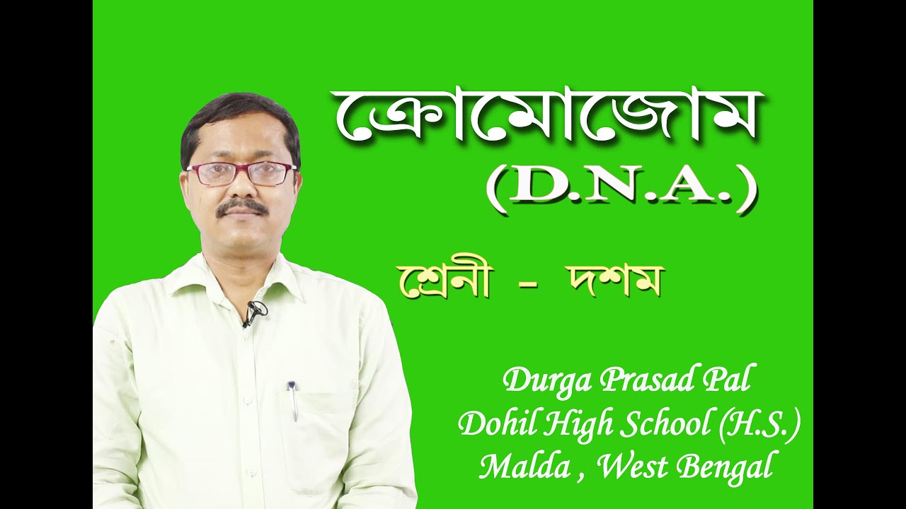 DNA in Bengali/Nucleotides structure/nucleoside /Genetics Bengali life ...