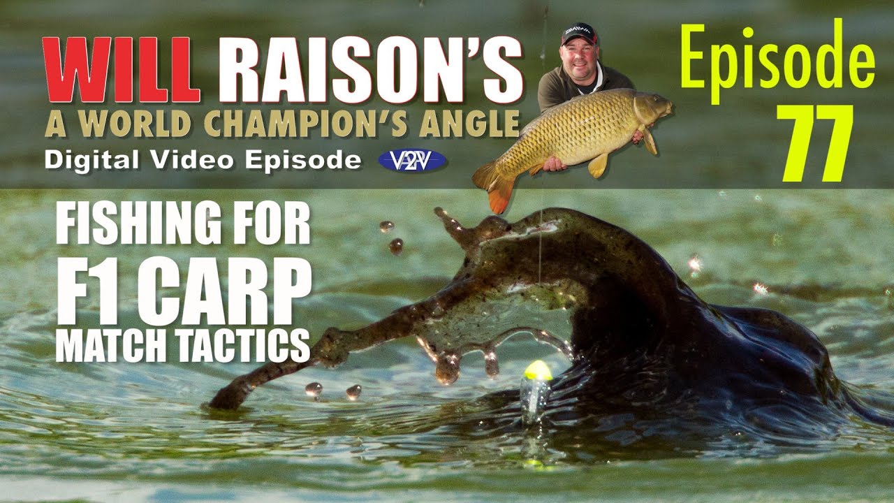 Tunnel Barn MATCH TACTICS For F1 Carp | Will Raison Fishing - YouTube