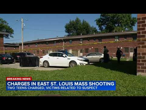 15-year-old girl arrested in southern Illinois killings of her 5 family members; boy also charged
