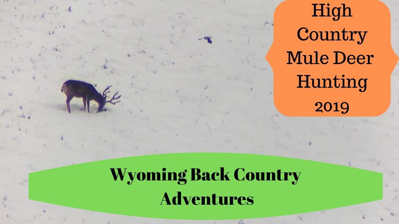 Mule Deer hunting September part 2 - YouTube