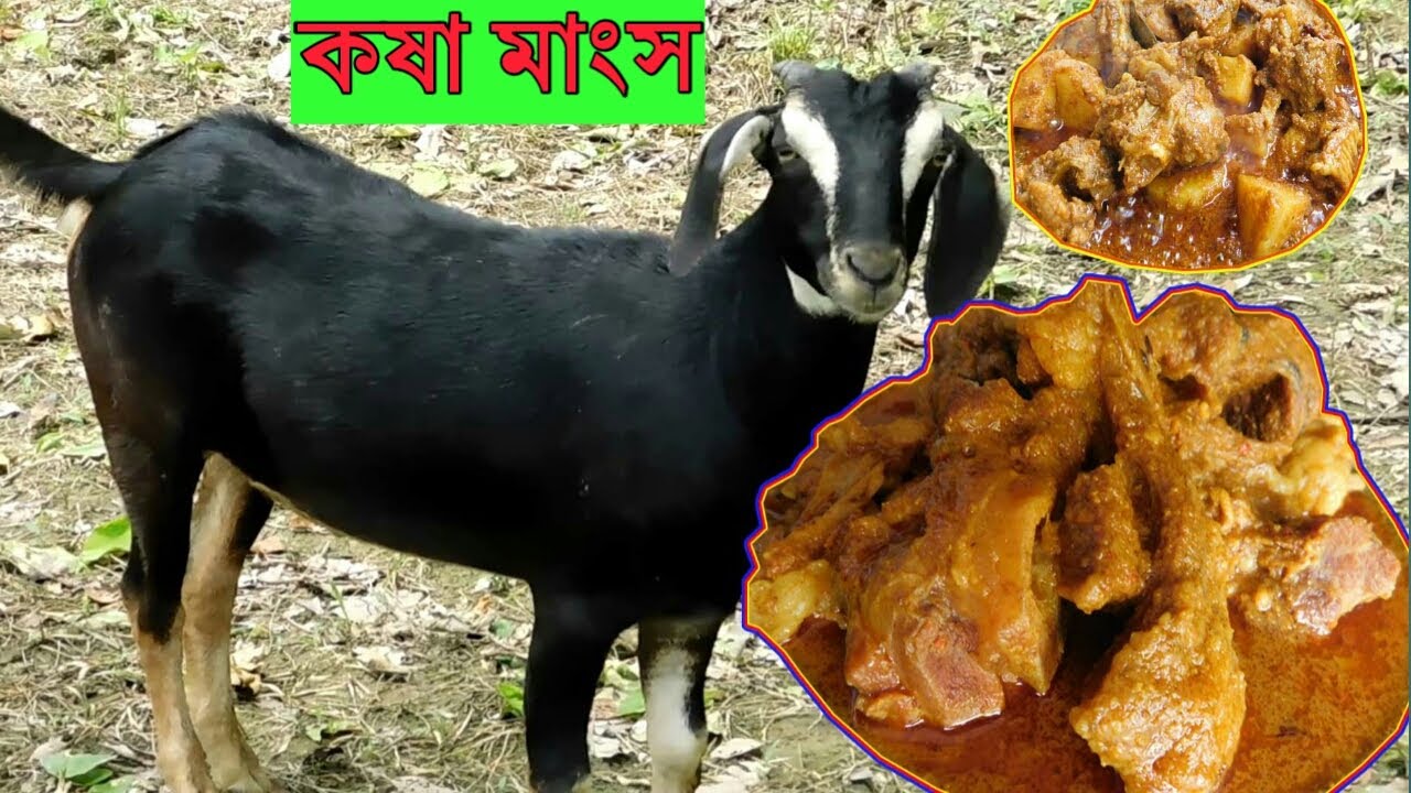 MUTTON KOSHA Bengali Recipe | Without Pressure Cooker | MUTTON CURRY ...