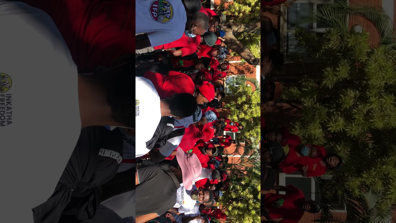 EFFSC MUT BRANCH - MUT Strike - YouTube