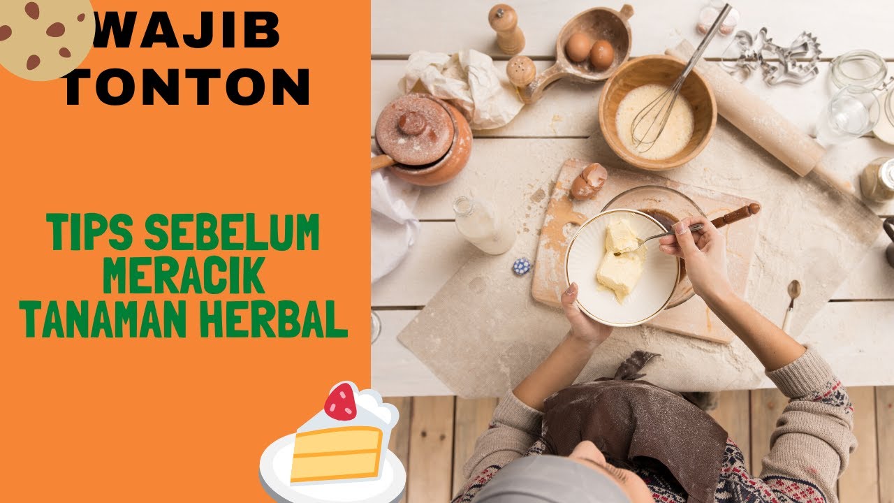 Tips meracik sebelum meracik Tanaman herbal - YouTube