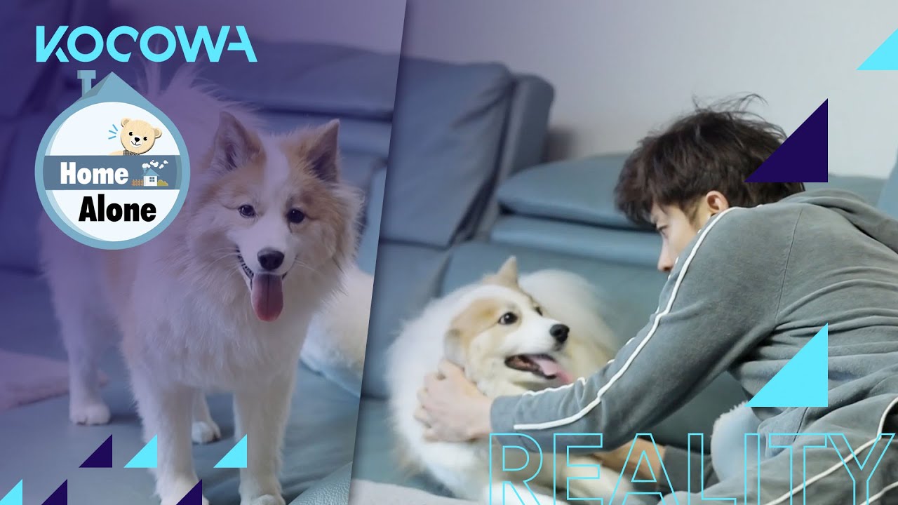 Sung Hoon plays with his dog right as he gets home [Home Alone Ep 389 ...