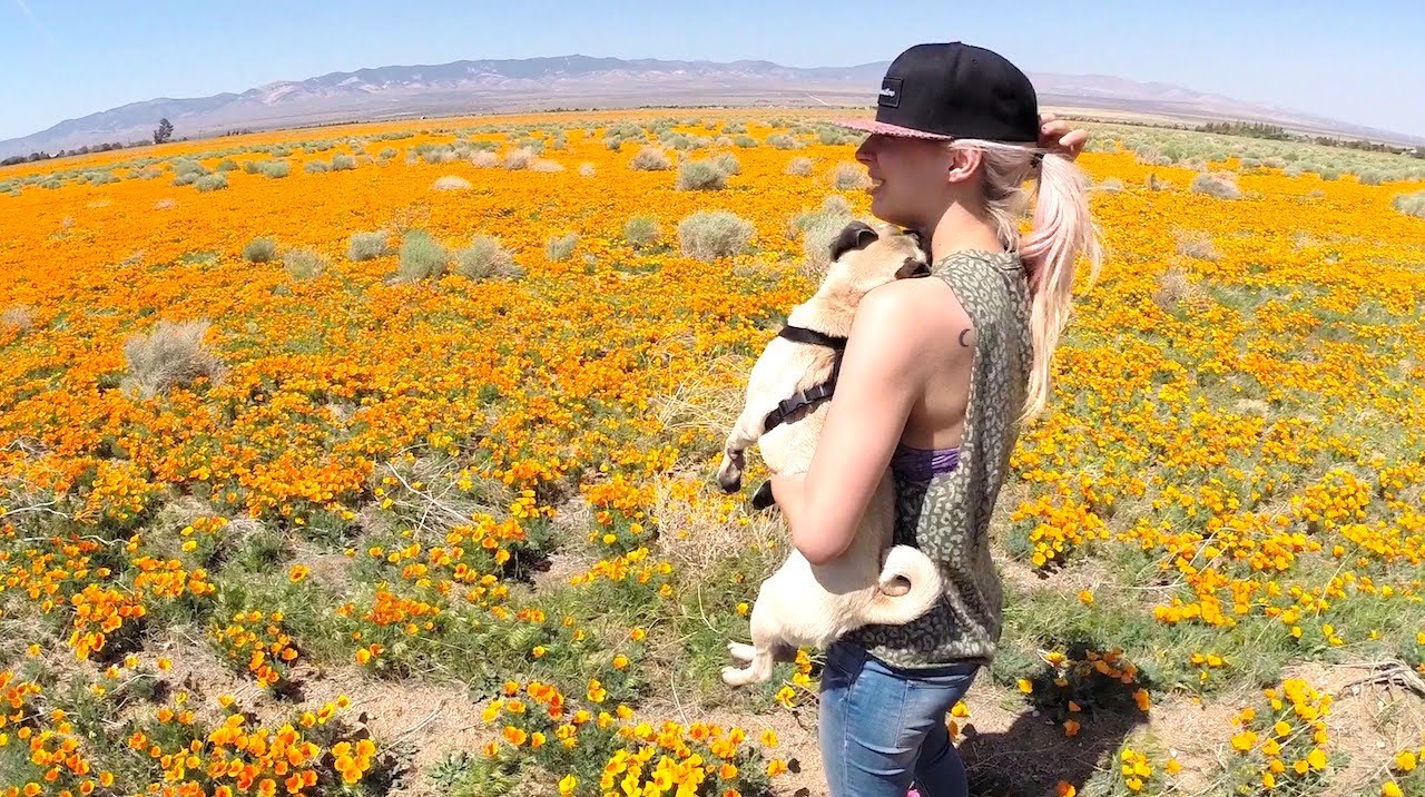 REAL LIFE PINTEREST BEAUTIFUL Day 87 (4.20.14) - YouTube