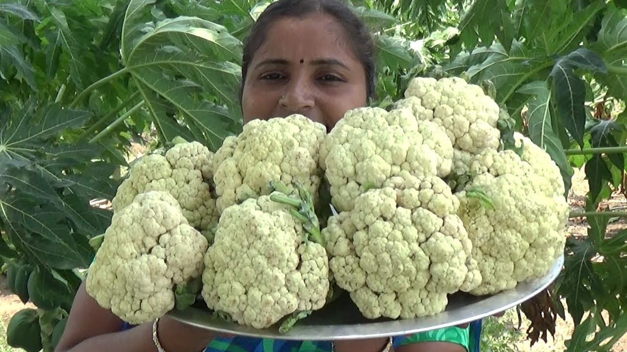 GOBI ( Cauliflower ) 65 Recipe | How to Prepare Gobi Fry In My Village ...