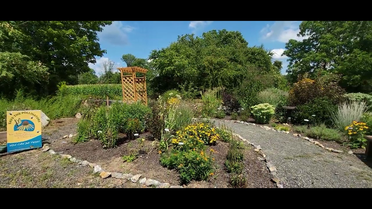 My new found Trail: Robert's Brook Preserve Hebron CT - YouTube