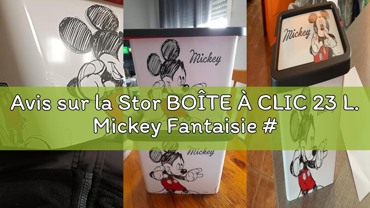 Avis sur la Stor BOÎTE À CLIC 23 L. Mickey Fantaisie # - YouTube
