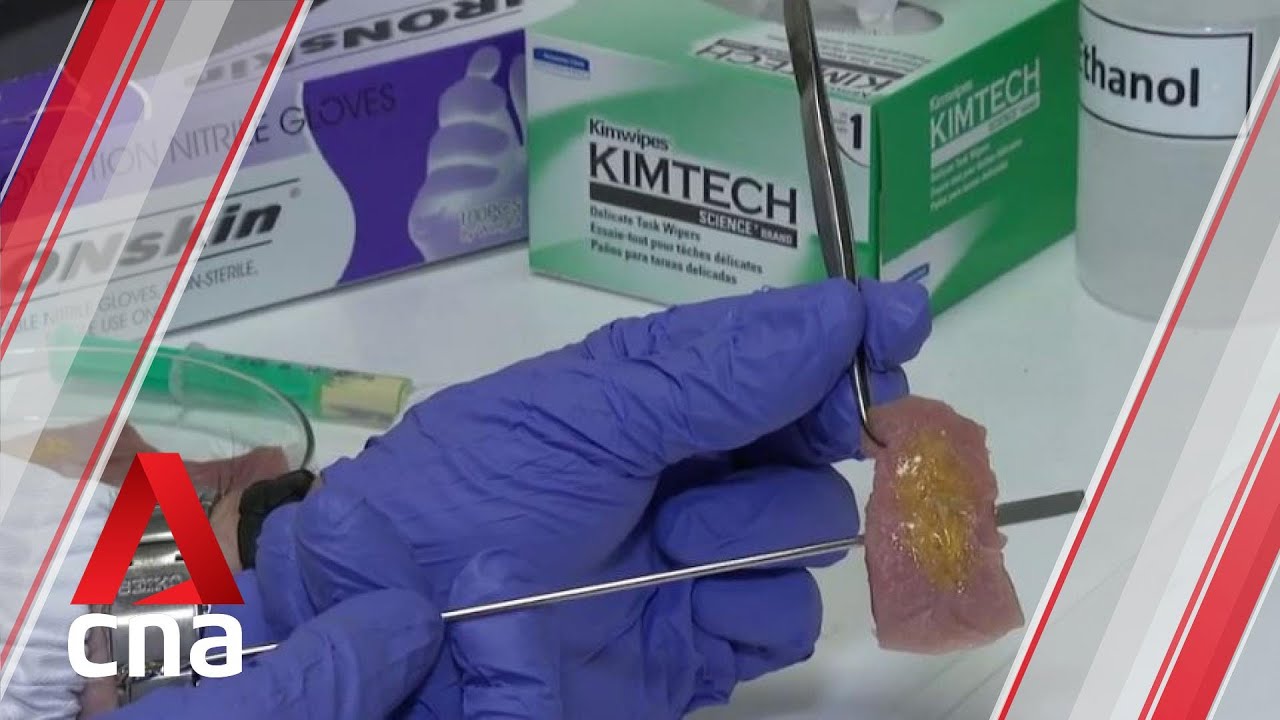 Singapore researchers invent surgical glue that can help join blood ...