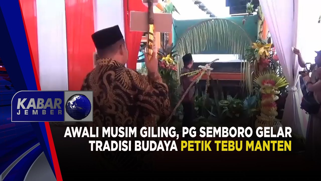 PG Semboro Gelar Tradisi Budaya Petik Tebu Manten | KABAR JEMBER - YouTube