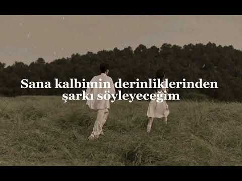 MOT-Соло (Türkçe çeviri) Solo