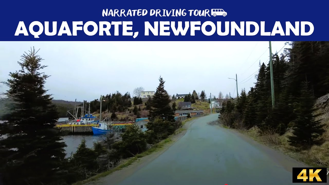 🚗 Scenic Drive Through Aquaforte, Newfoundland 🇨🇦 | Stunning Coastal ...