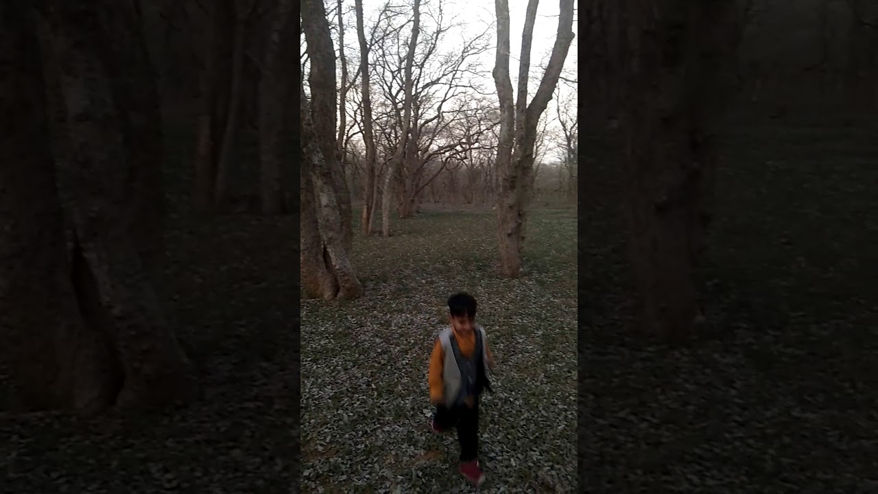 SC gdgdg egg gg he g HR 4th jrmghngfdqqsffef Wed fwd - YouTube