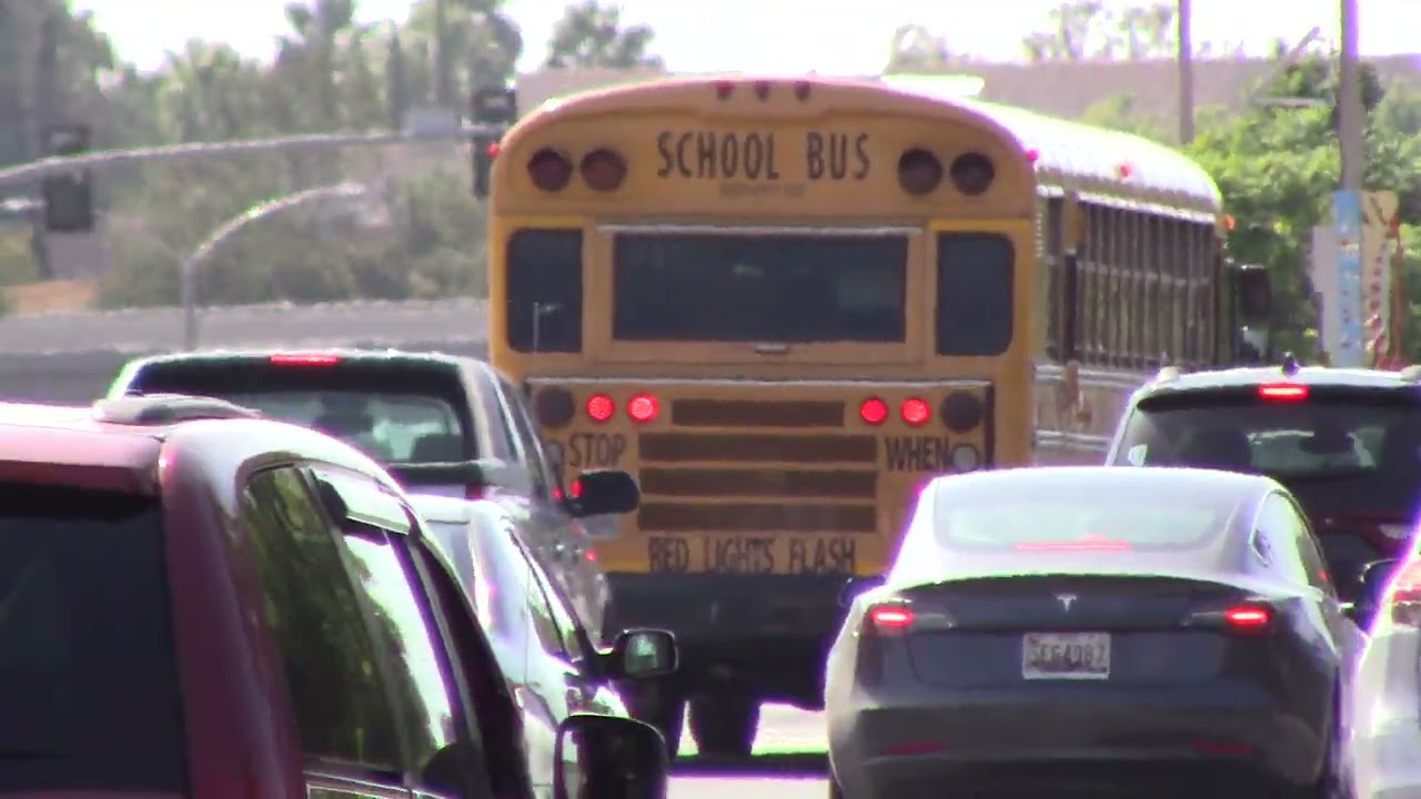 School Bus - Blue Bird All American A3 #5 CVESD - YouTube