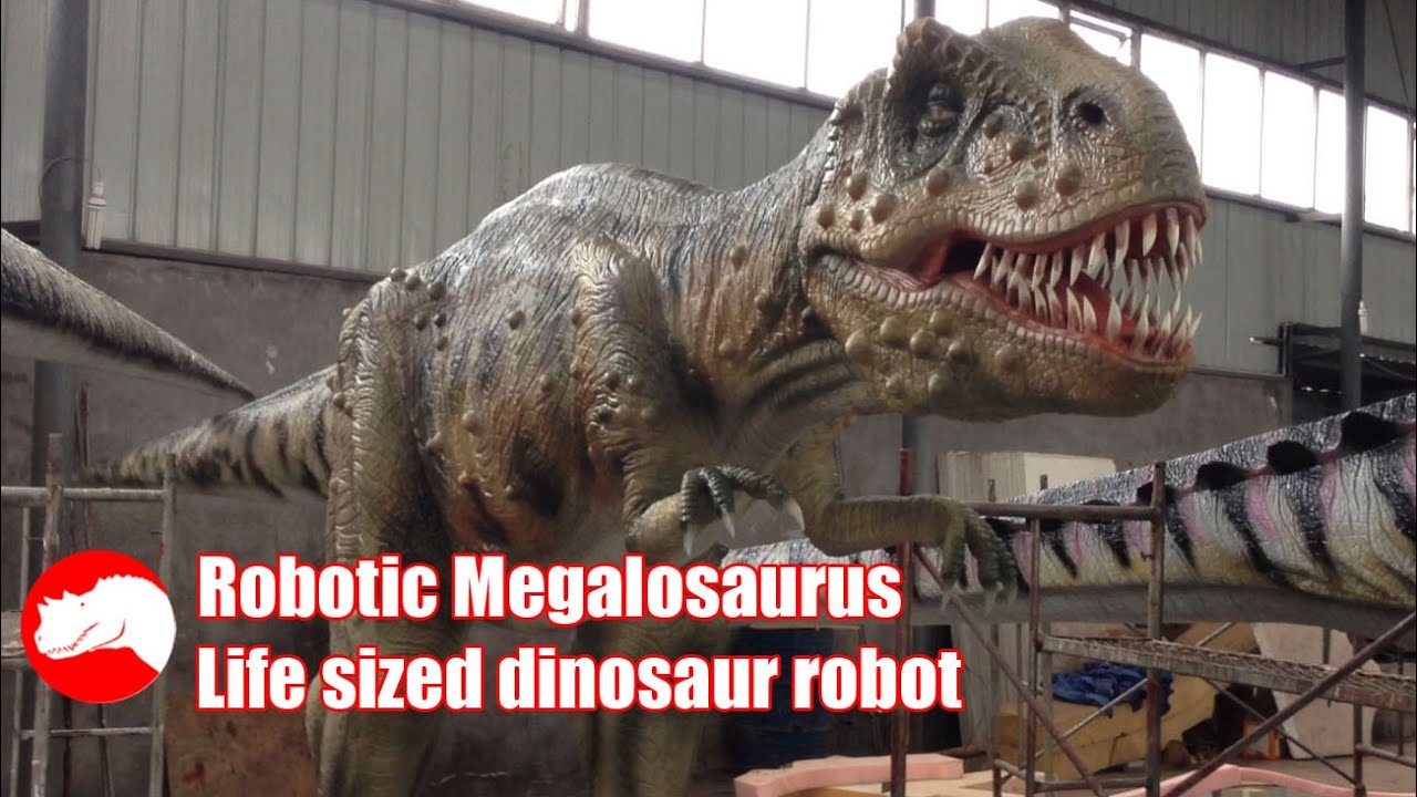 Robotic Megalosaurus Model - Lifesized Dinosaur Exhibits - YouTube