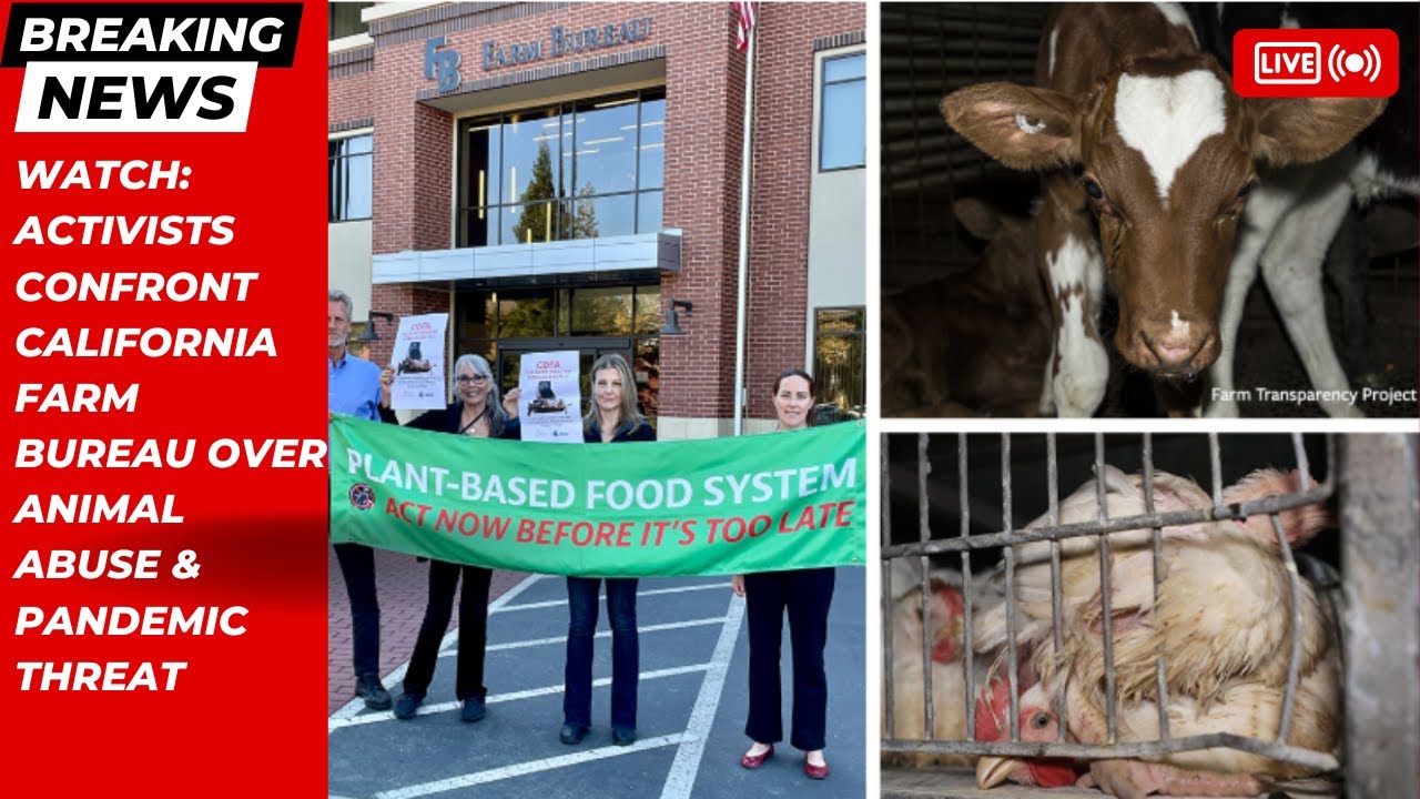 WATCH Activists Confront California Farm Bureau Over Animal Abuse ...