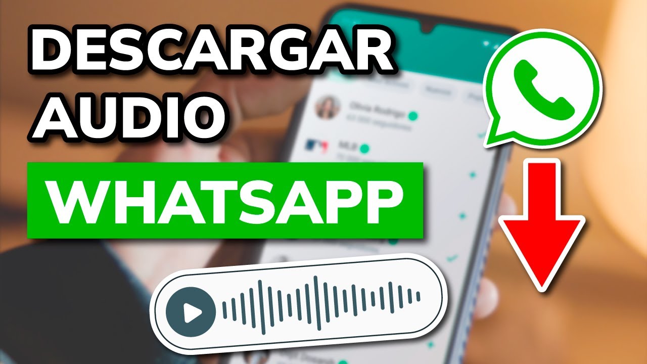 🔊 Cómo DESCARGAR AUDIO de WHATSAPP en PC (y Hacerlo Compatible) - YouTube