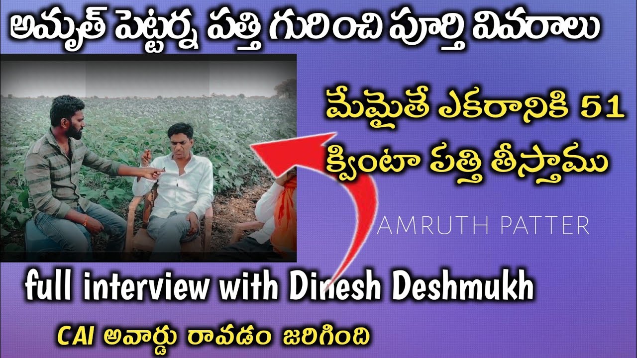 full information about pattern cotton farming || what is amruth pattern ...