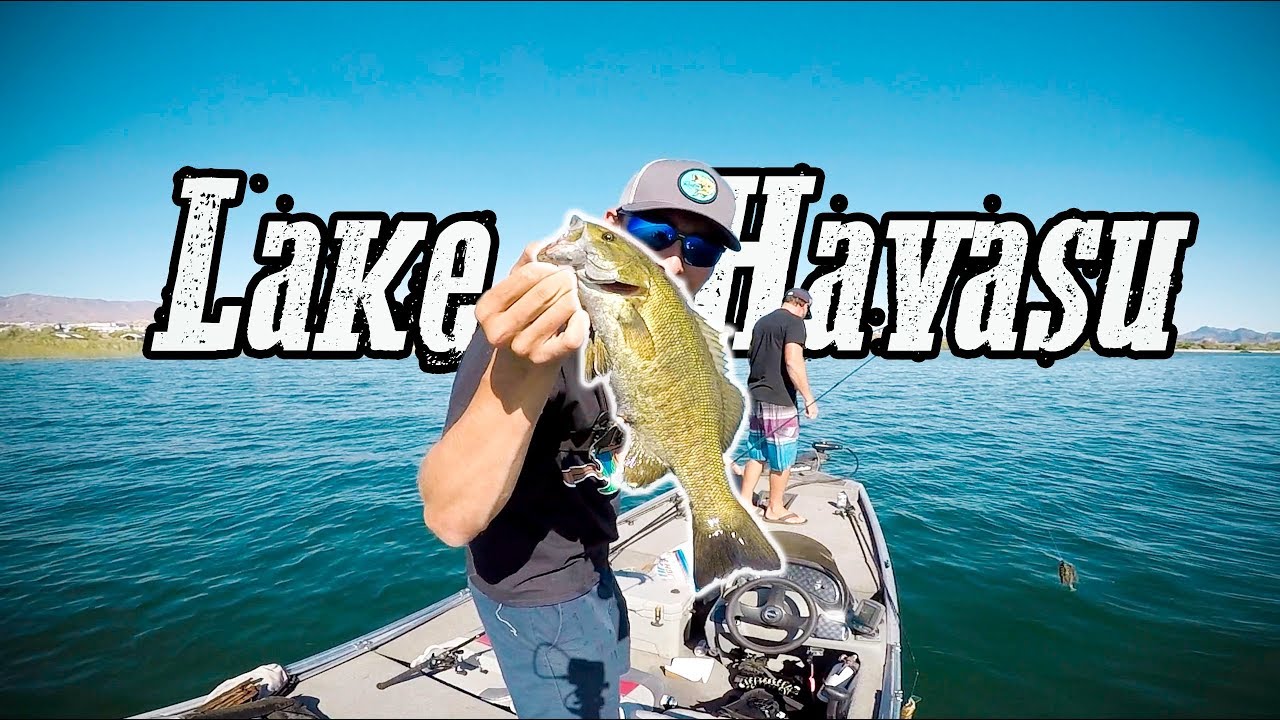 CHEATERS in a Tournament WIN 1st Place - YouTube