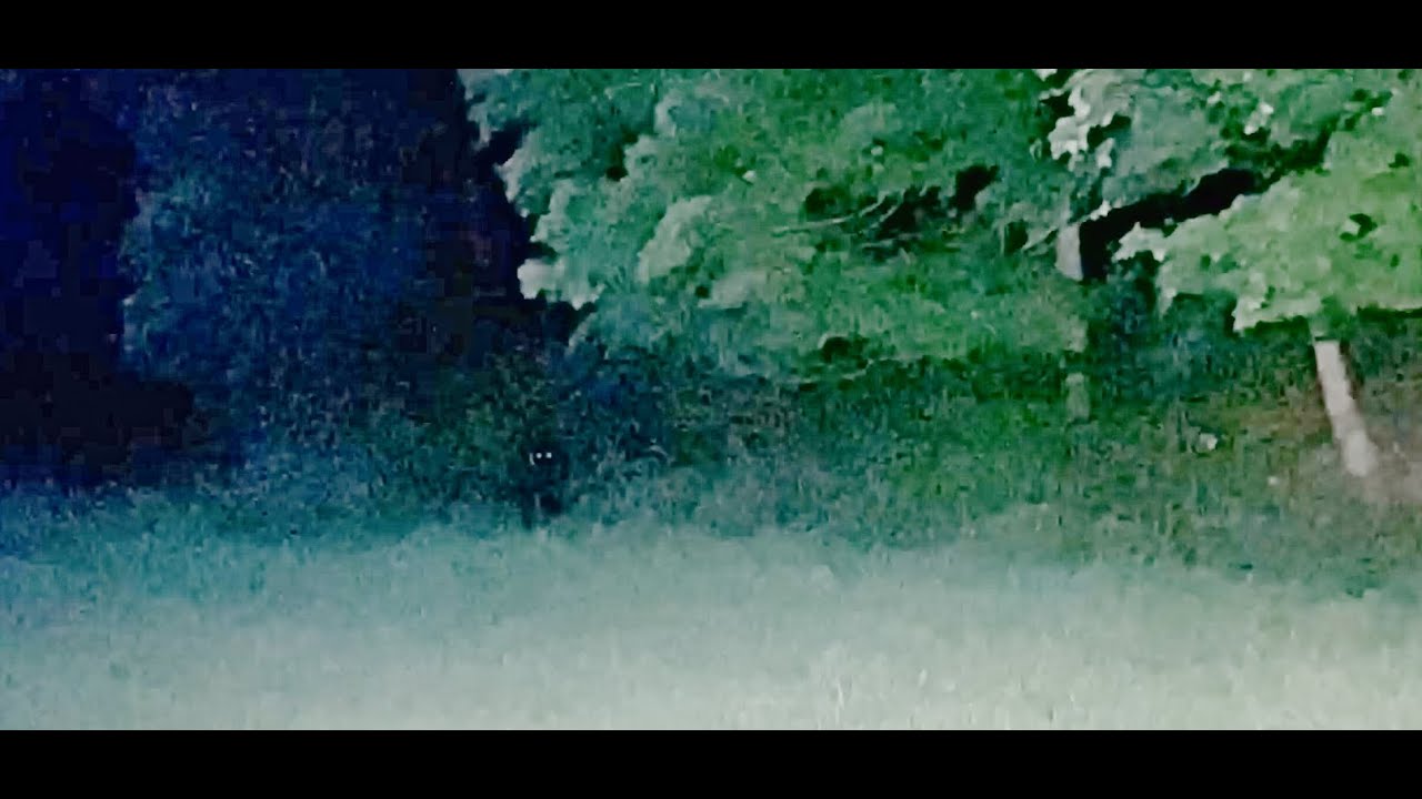 FINALLY!! THE MOST INTENSE SCARIEST FOOTAGE EVER CAPTURED ON CAMERA ...