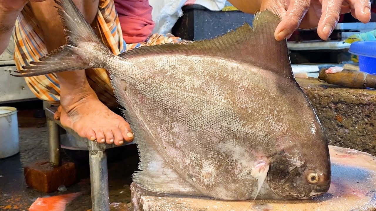 Awesome Pomfret Fish Cleaning & Cutting Live In BD Fish Market at Knife ...
