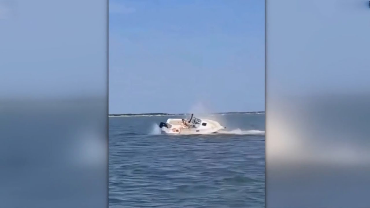 Woman knocked overboard as whale collides with boat in US - YouTube