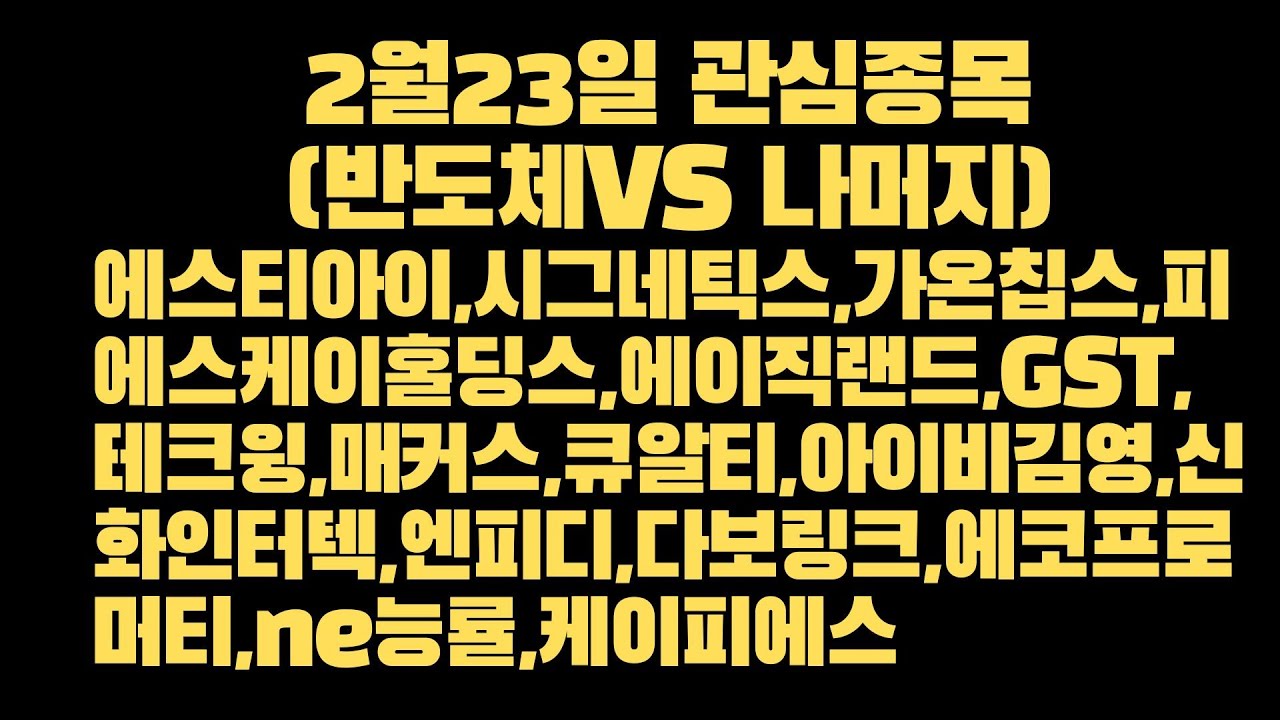 2월23일 관심종목에스티아이시그네틱스가온칩스피에스케이홀딩스에이직랜드gst테크윙매커스큐알티아이비김영신화인터텍