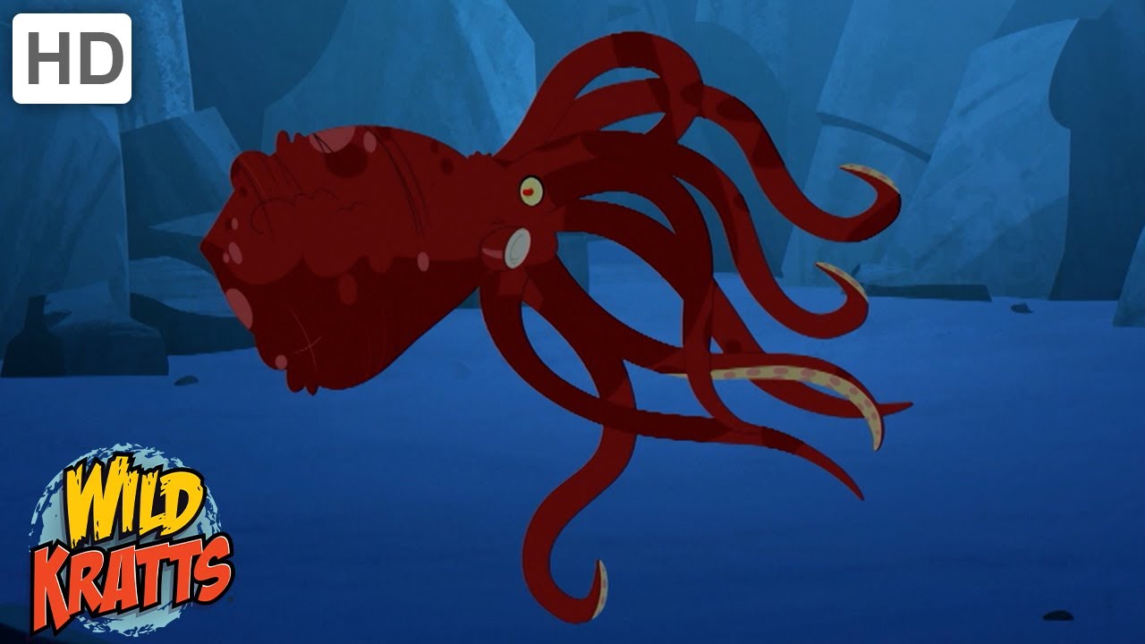 Octopuses and Other Cold Climate Creatures [Full Episodes] Wild Kratts ...