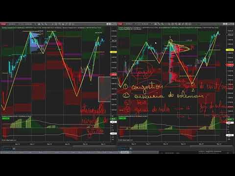 Ninjatrader usando el order flow volume by price - YouTube