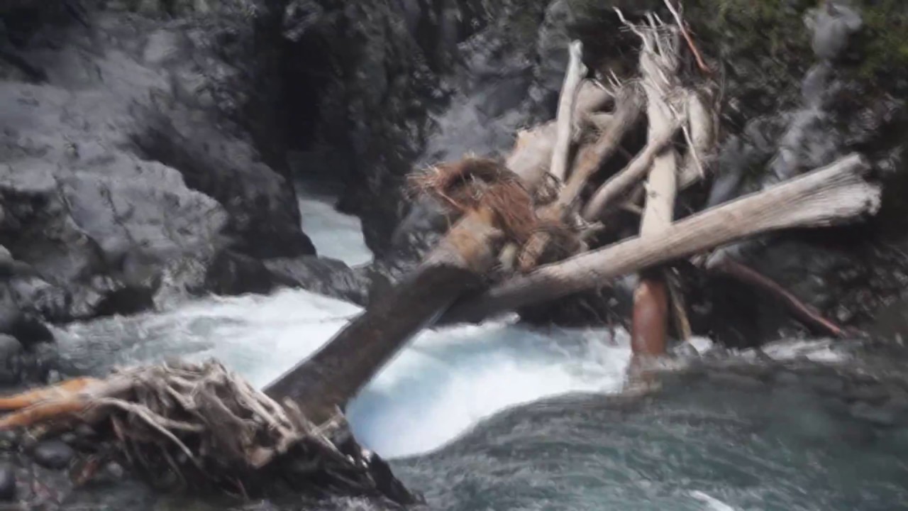 Tree Trunk Gorge - YouTube