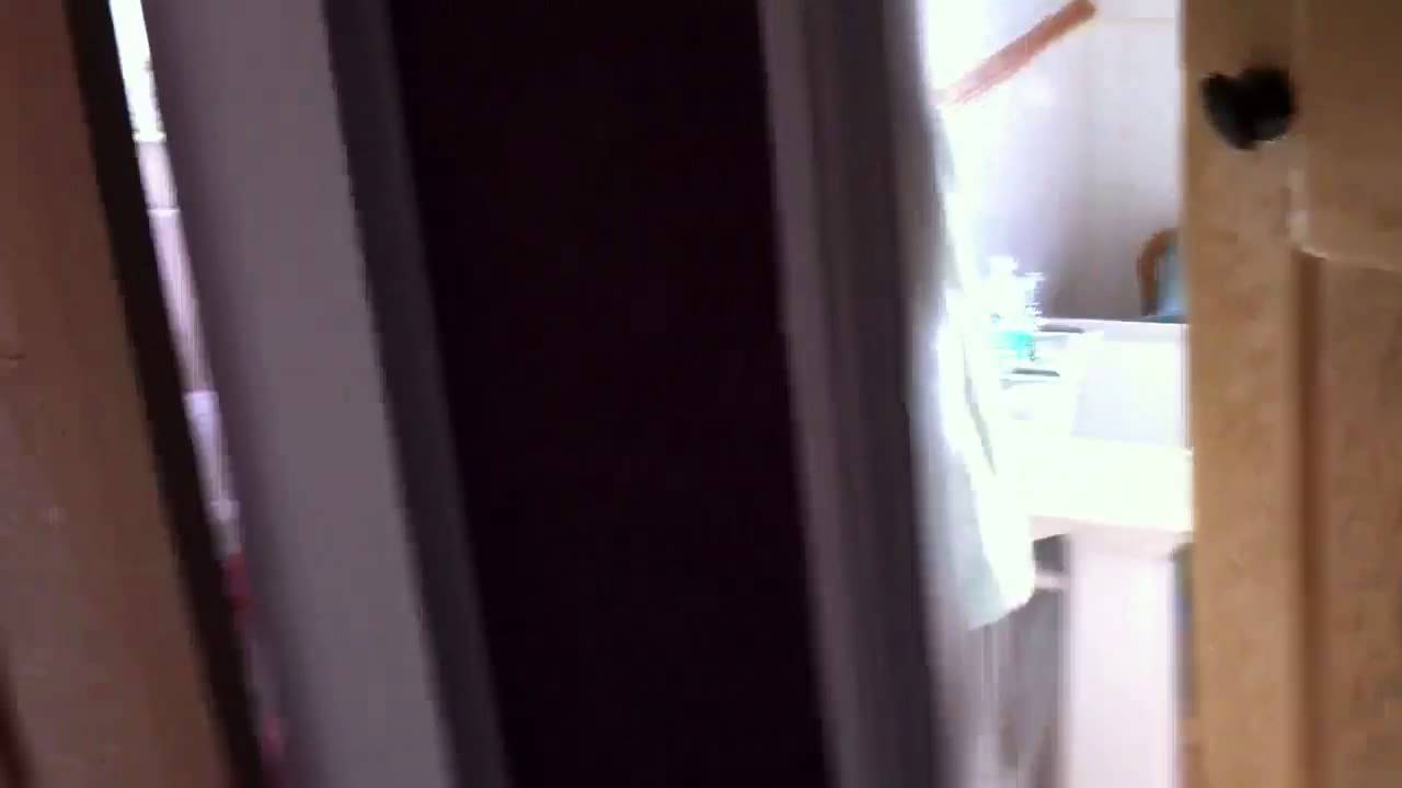 Daisy Snoring In Wardrobe - YouTube