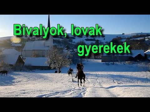 Bivalyok, lovak, gyerekek... - YouTube