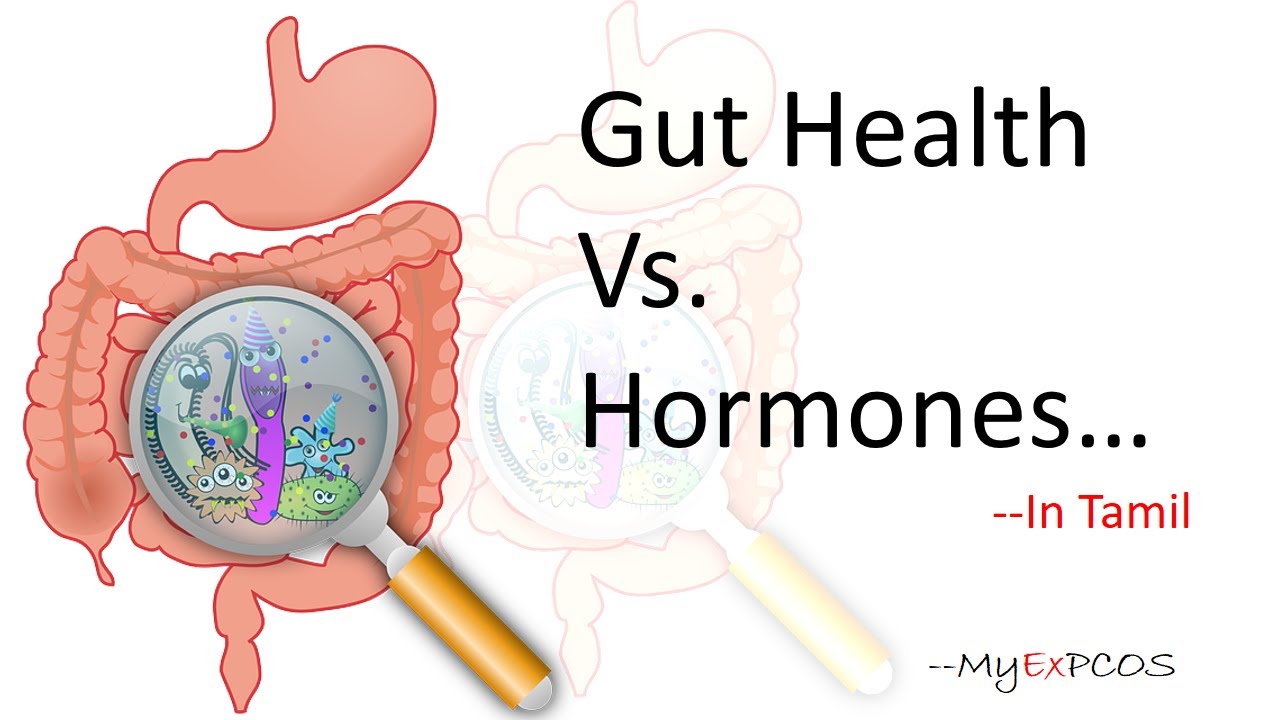 Gut Health in Tamil - YouTube