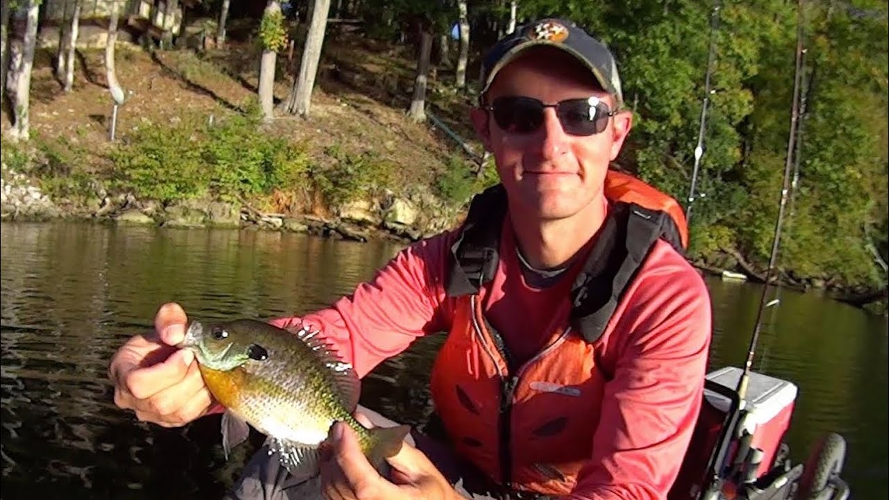 Ultralight Fishing for Bluegill with Gulp Minnows - YouTube