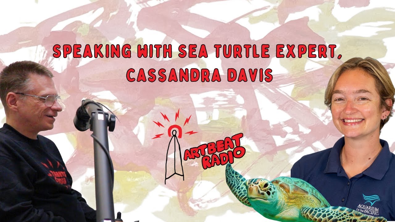 Speaking with Sea Turtle Expert, Cassandra Davis: Artbeat Radio - YouTube