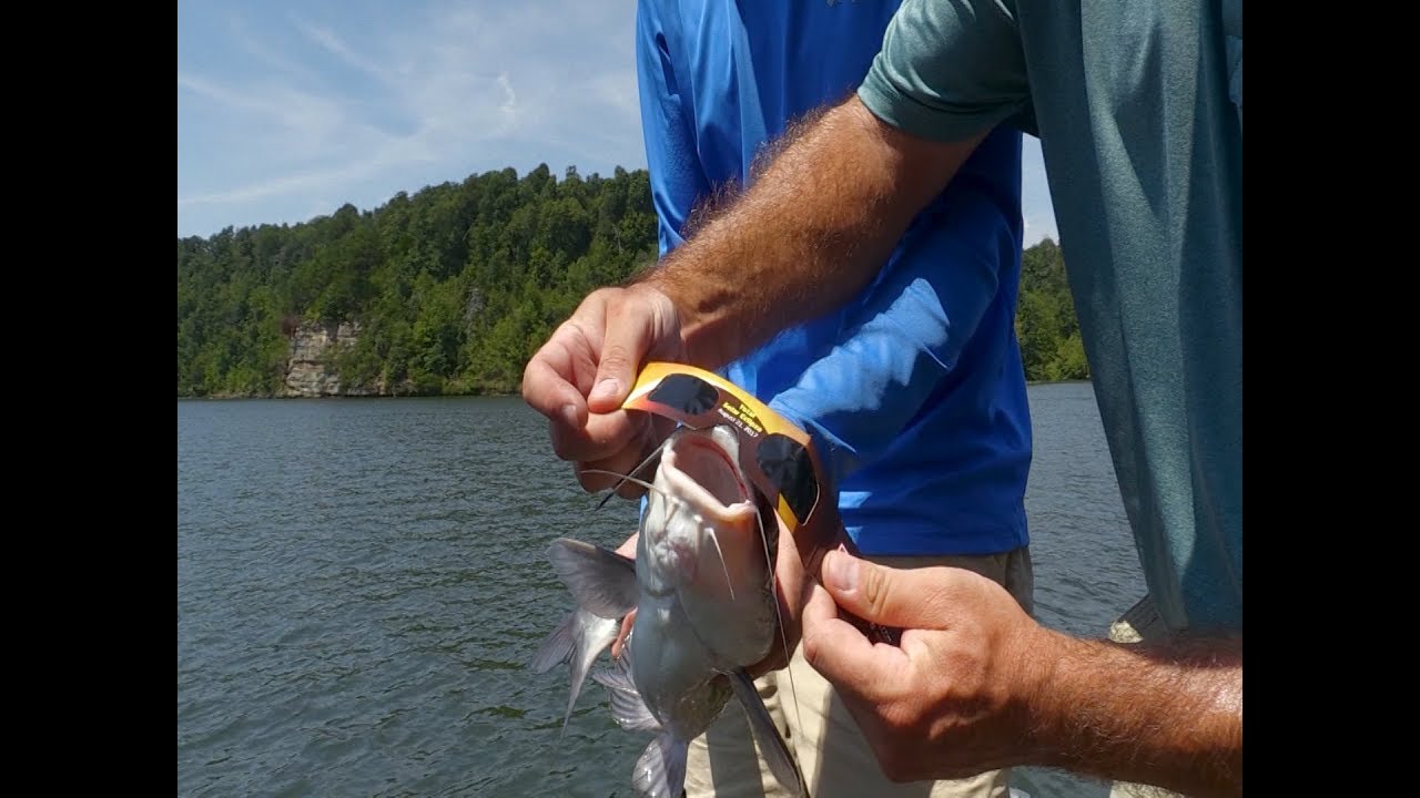 Fishing During the Total Eclipse - YouTube