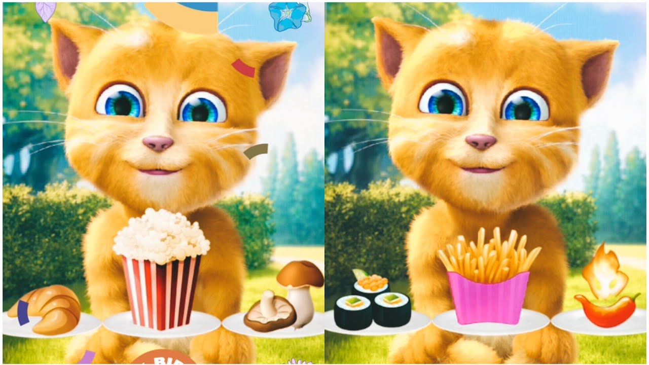 Talking Ginger 🍰🧁🎂🥧🍦🍨🍧🍡🍢 - YouTube