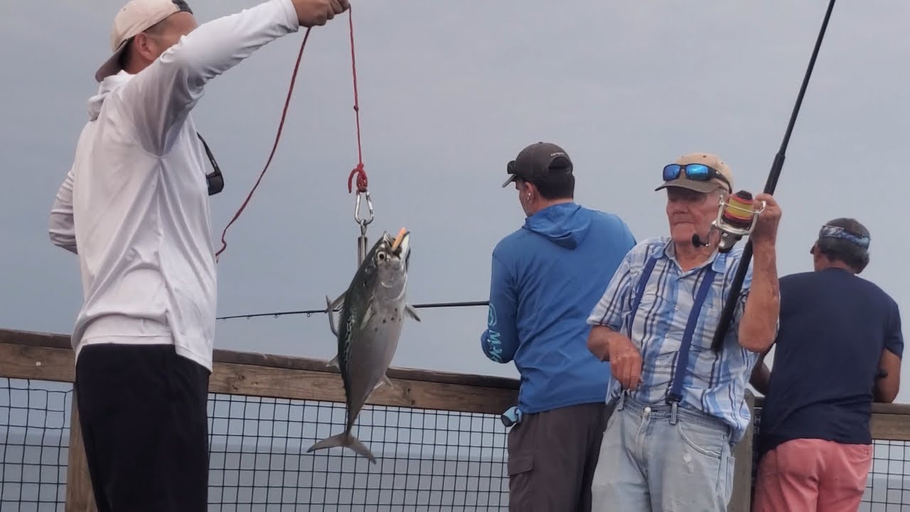 baby Kingfish Navarre Beach fishing Pier Spanish Mackerel, Bluefish ...
