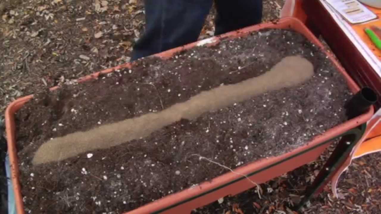 Replanting Your EarthBox - YouTube