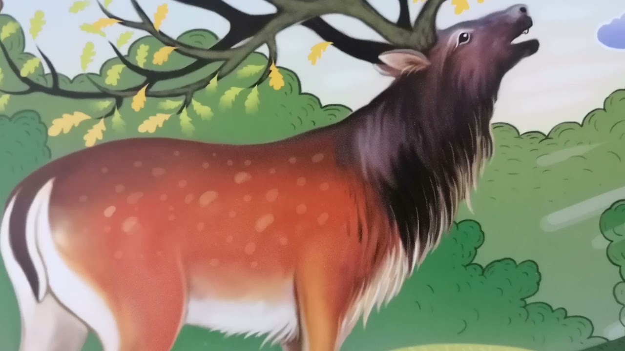 Știi ce i-a cerut cerbul lui Dumnezeu? Legenda Cerbului. Legende Scurte ...