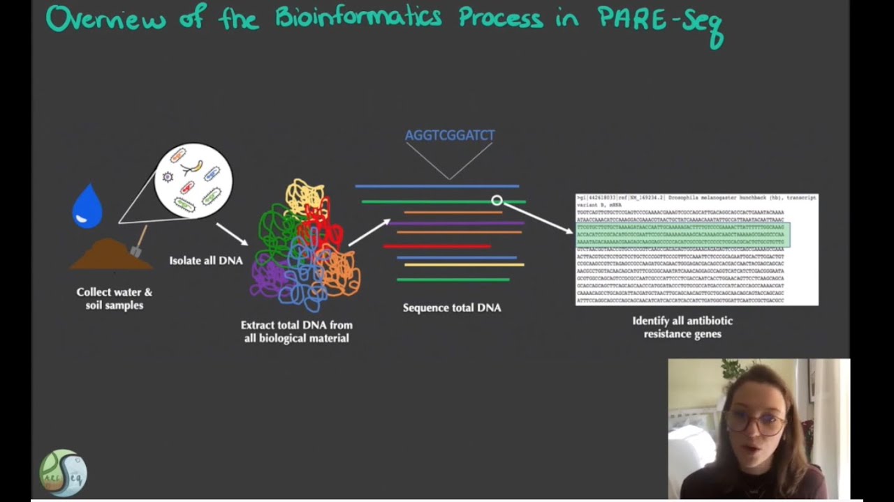 PARE-Seq Introductory Video - YouTube
