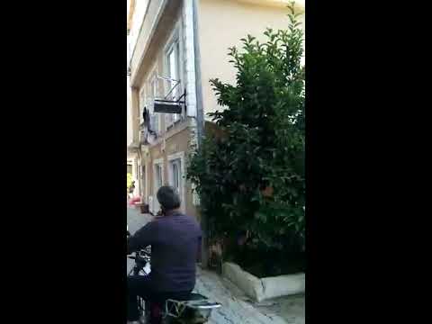 Avşa adası Çelik Apart Motel