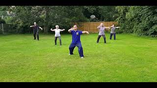 Chen Tai Chi 11 Form (Sale Garden)
