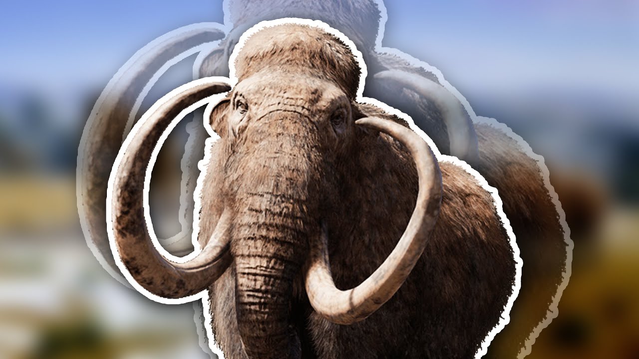 Lo que no conocías de un Mamut - YouTube