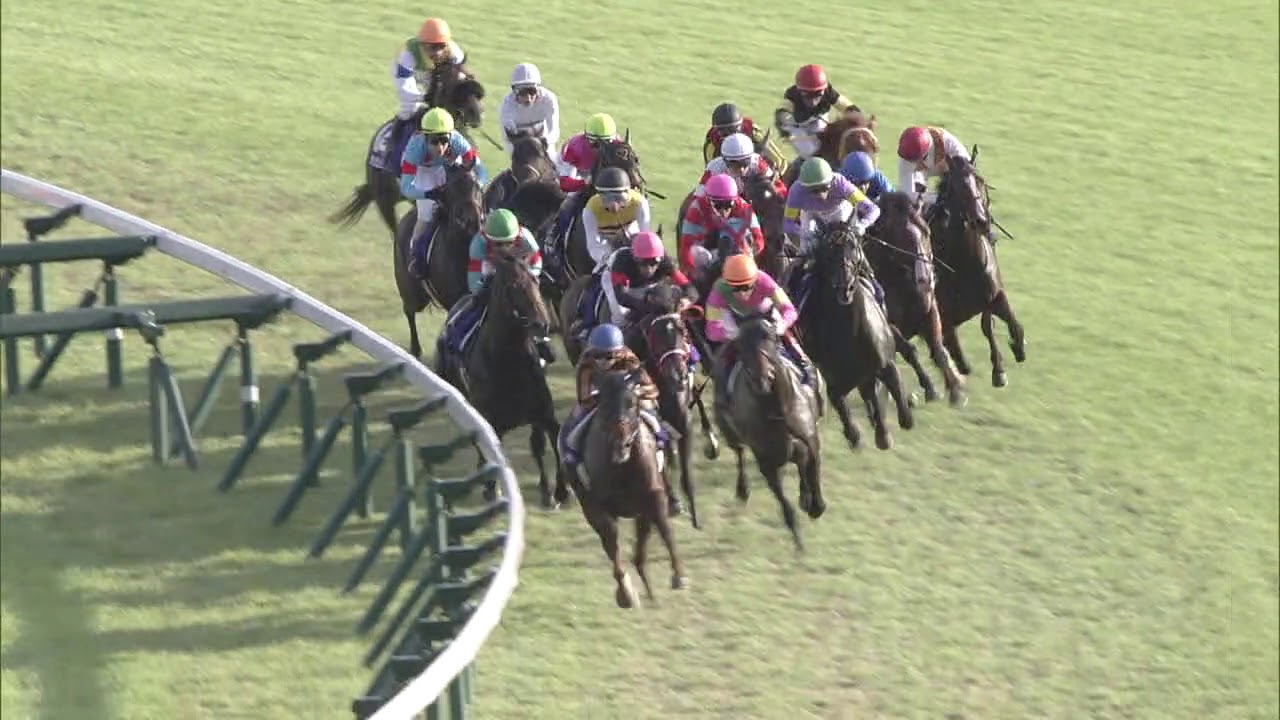 2019 Sprinters Stakes (G1) - YouTube