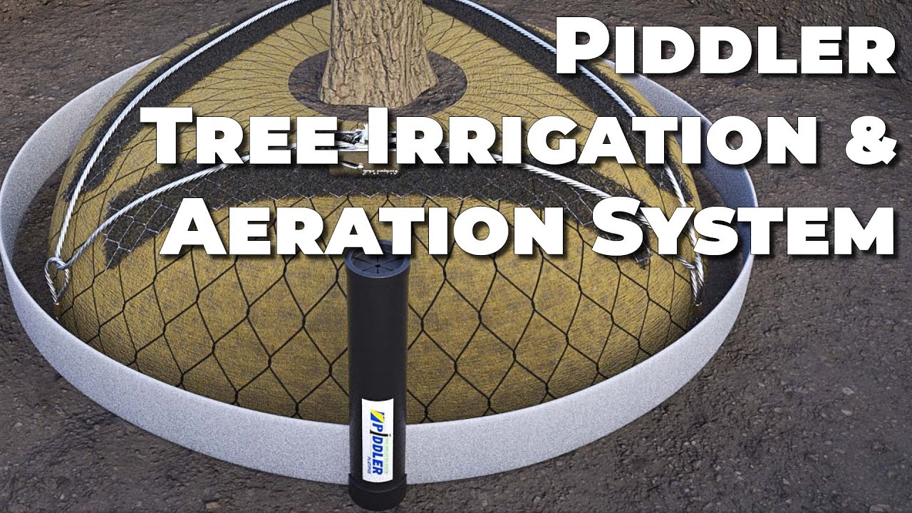 Tree Irrigation & Aeration using the Platipus Piddler System - YouTube