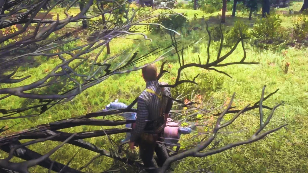 RDR2 - Careful With Tree Branches! - YouTube